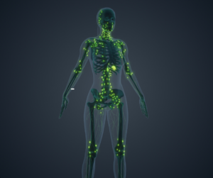 Lymphatic Cleanse Benefits: What Lymph Drainage Does - Lulu Beauty Spa